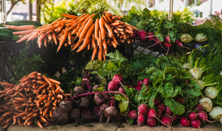 Food Waste Solutions – Goodr